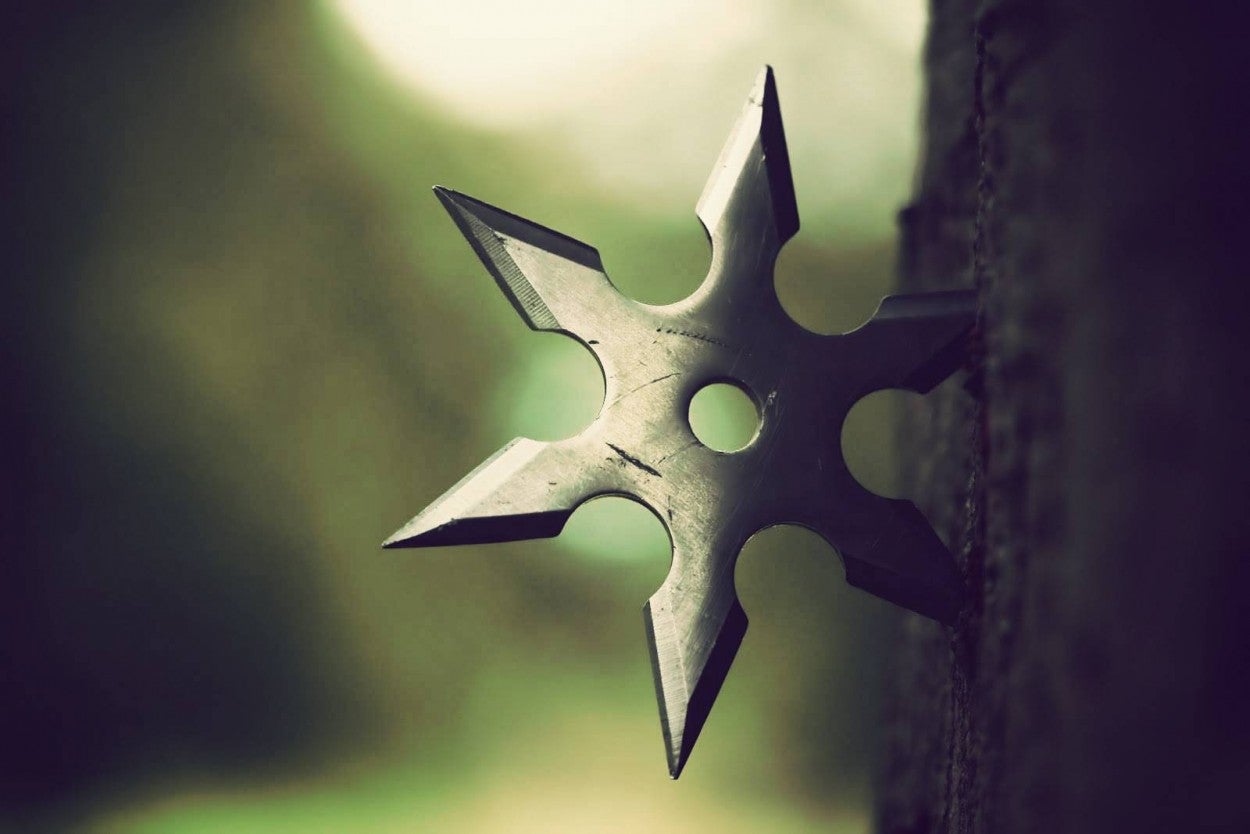 Shokunin: The Mastery of One's Profession - The Dojo